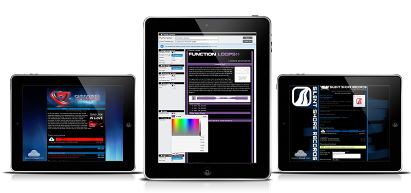 Digital music promotion service platform provider for record labels