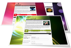 Digital music promotion managment platform provider for record labels